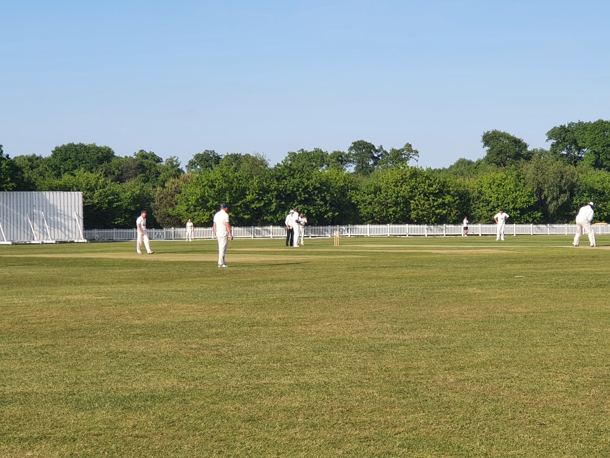 Week 17 – Angel’s Wings | Royal Ascot Cricket Club